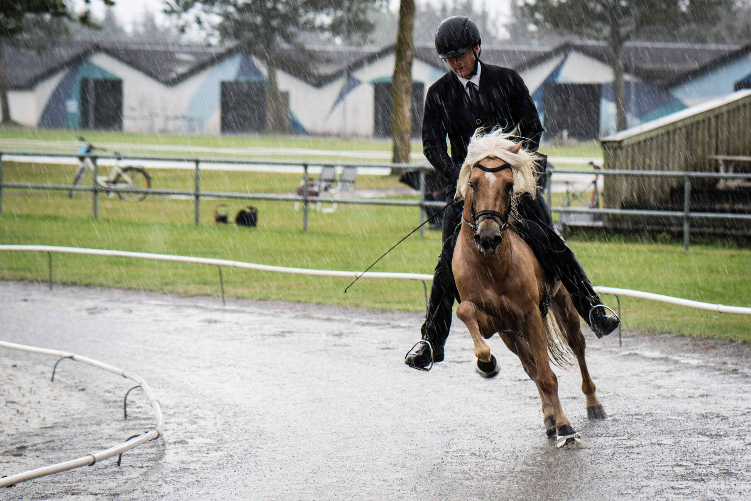 Min vej til at blive en god rytter - TÖLT Magasinet