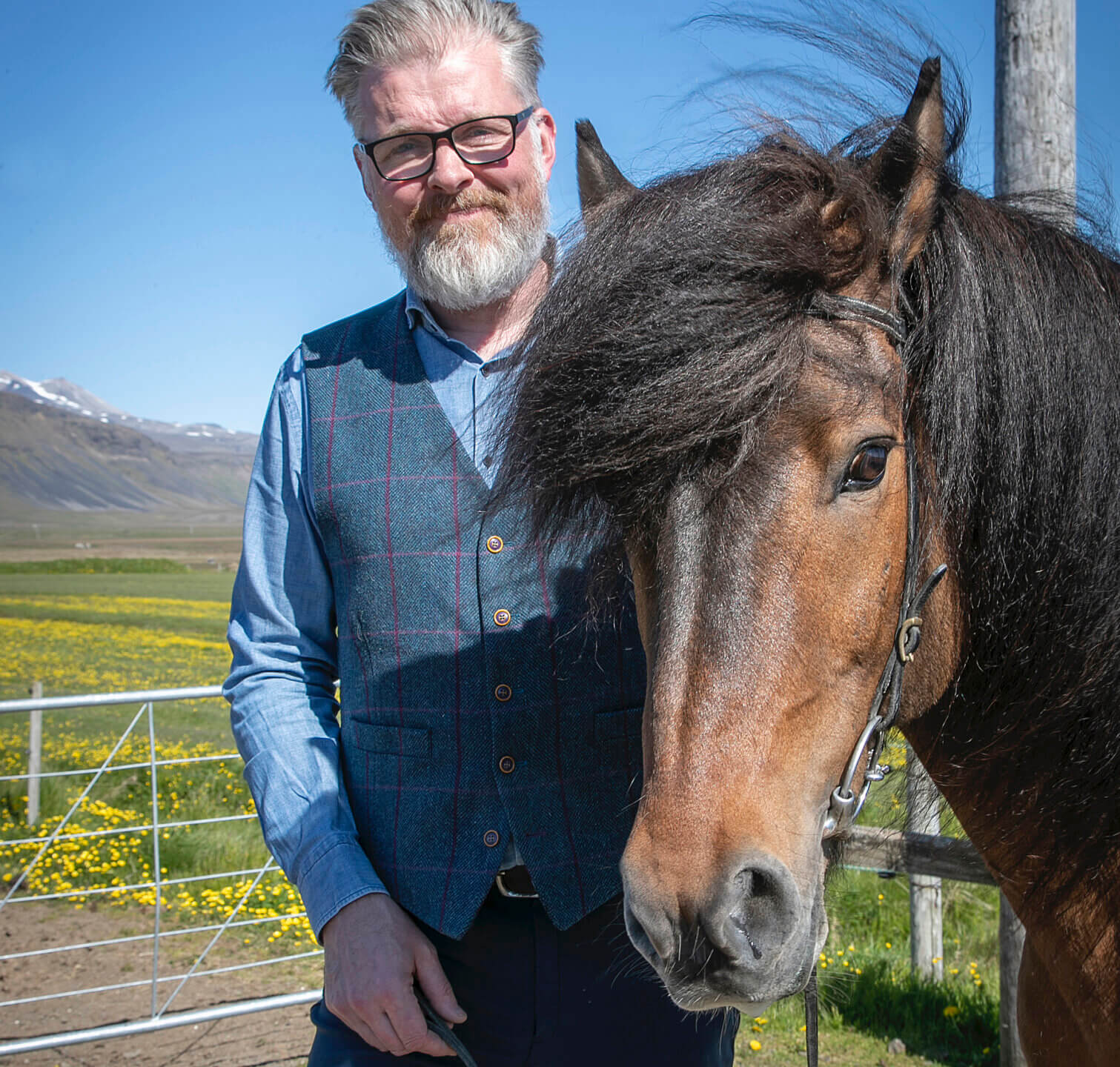 Hestedatabasen WorldFengur mangler 1,5 mio. danske kroner til ...