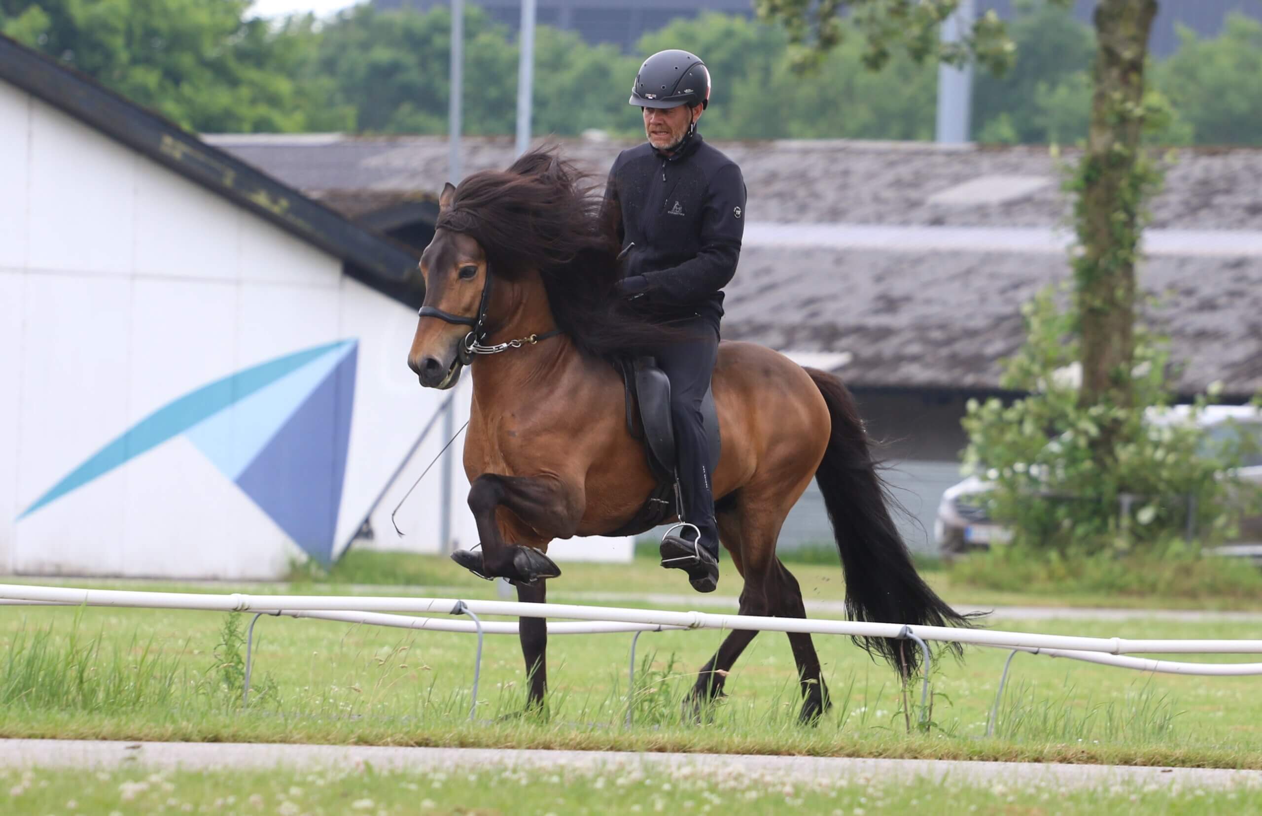 Flot kåring: Første danskavlede hest får 10 for tølt - TÖLT Magasinet