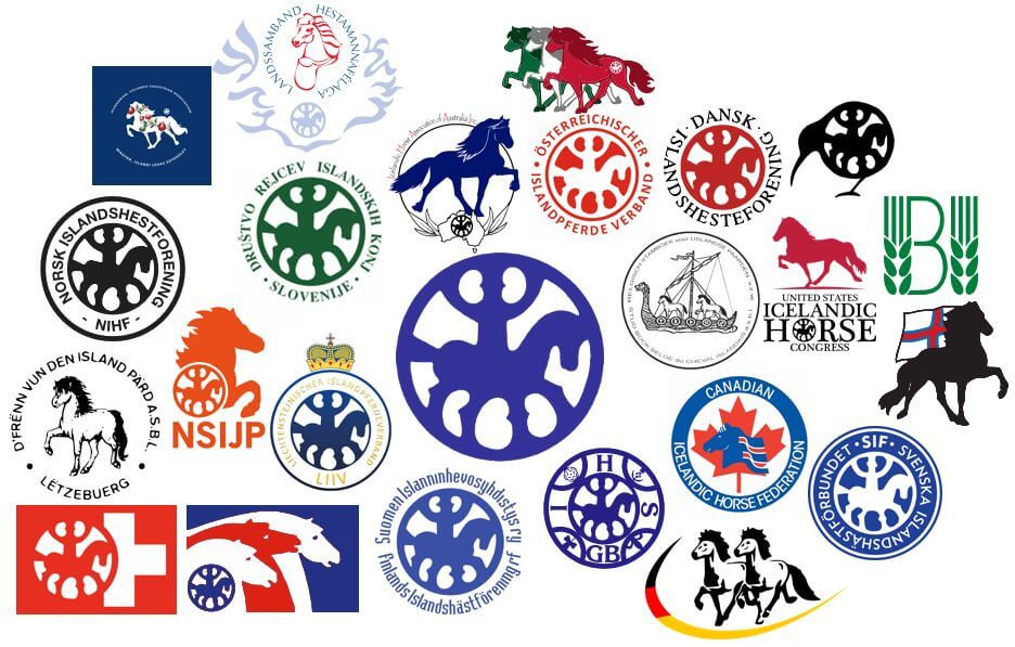 Sådan læser du FEIFs regelsæt og får svar på nærmest alt - TÖLT Magasinet