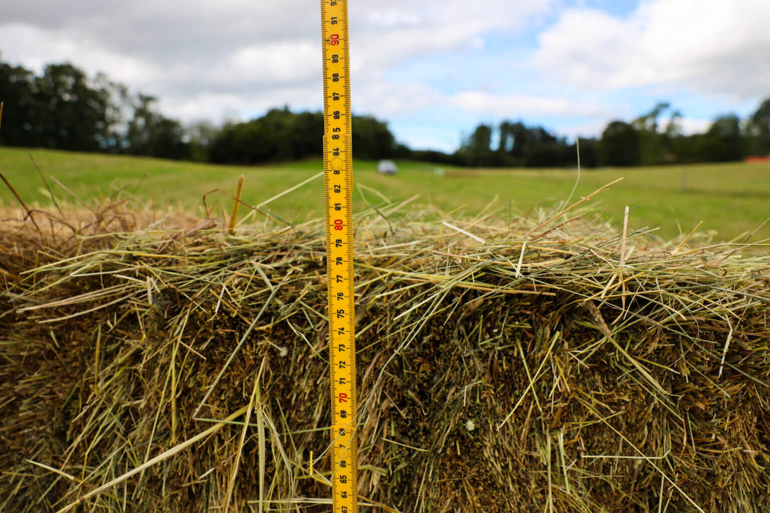 Nogle af springene kan du lave selv: høballer, grøfter og trækævler ...
