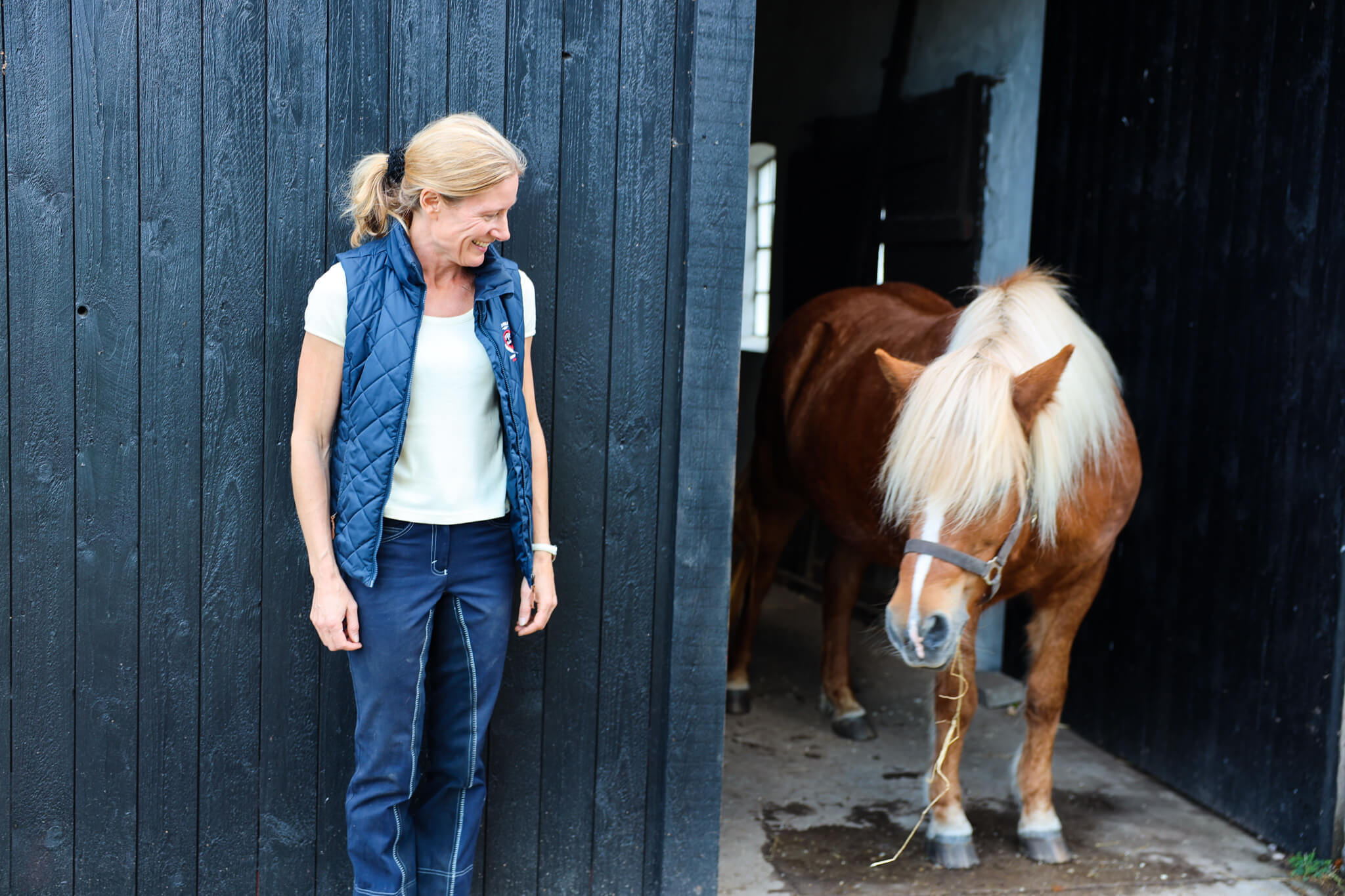 Hestevelfærd: Janne Winther og hendes kolleger undersøger hestens måde at tænke på - TÖLT Magasinet