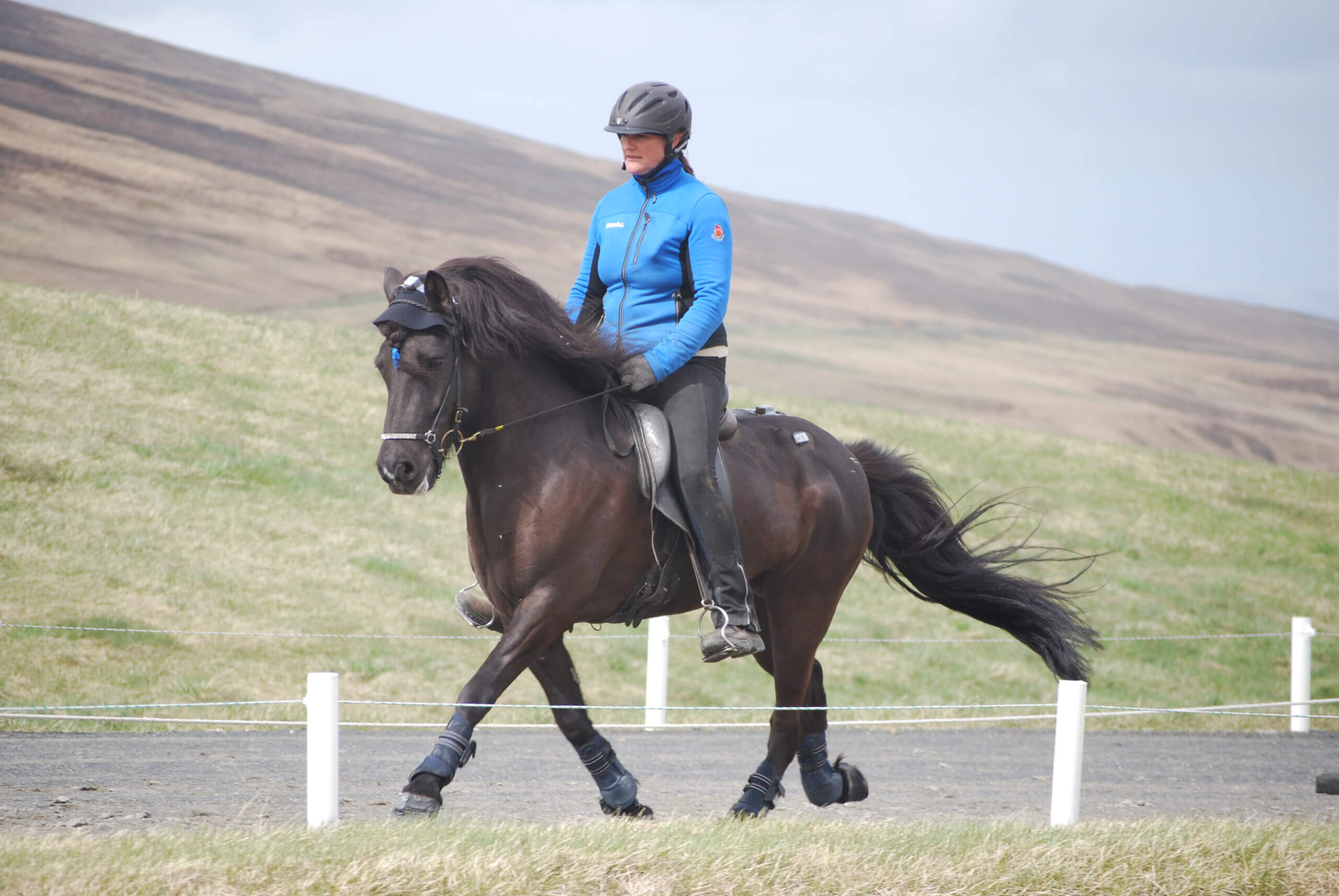 Halt i tølt? - TÖLT Magasinet