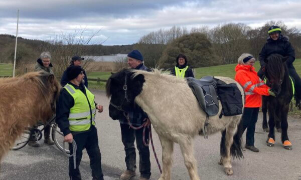 Ryttere i Åmosen rydder op - TÖLT Magasinet