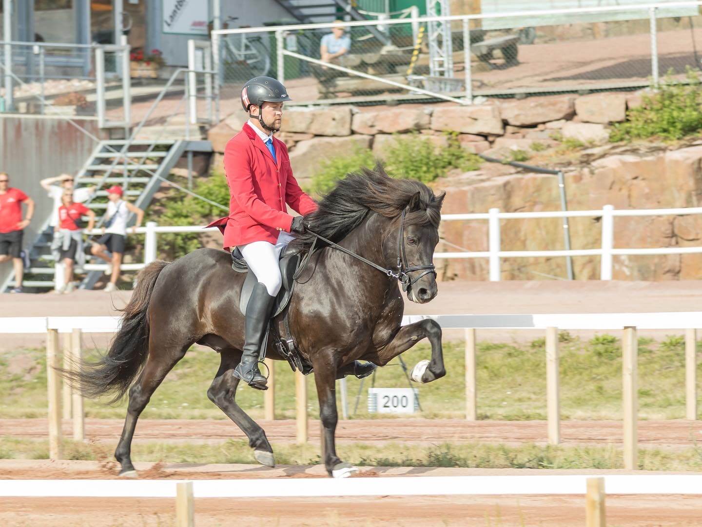 At overtage en hest og ride sig direkte ind på landsholdet - TÖLT Magasinet