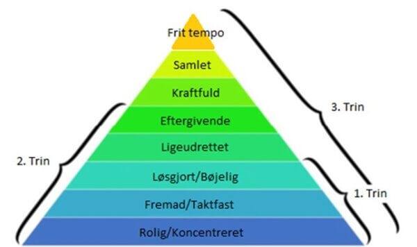 Hvad er Gæðingalist? - TÖLT Magasinet