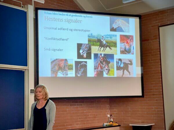 Konfliktadfærd hos rideheste - hvad betyder det for hestevelfærden ...