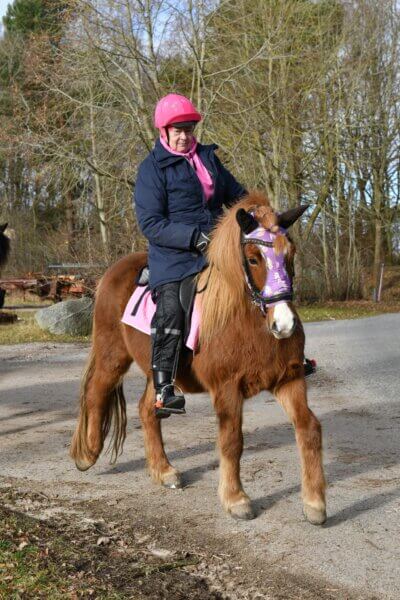 “Der er én, der tølter - og så styrtede alle op til vejen for at se ...